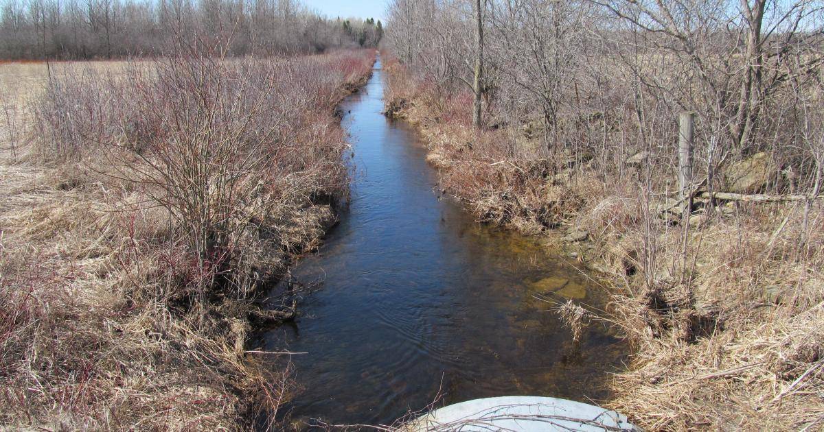 Drainage | Middlesex Centre