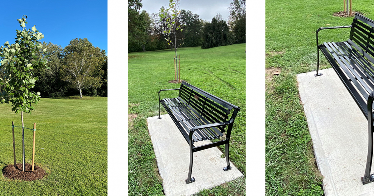 Tree and Bench Dedications | Middlesex Centre